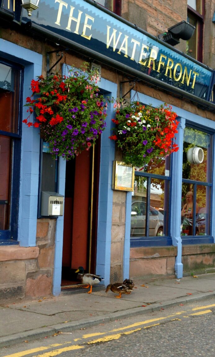 11 great pubs in Inverness - including Lauders and Johnny Foxes
