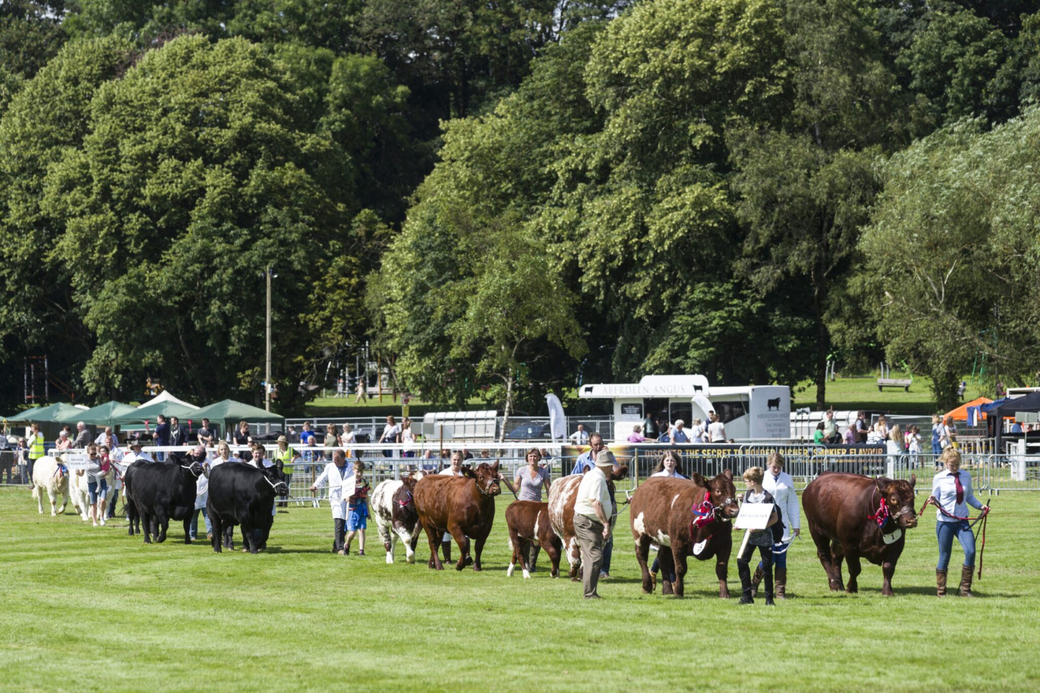 Judges announced for this year's Turriff Show - Press and Journal