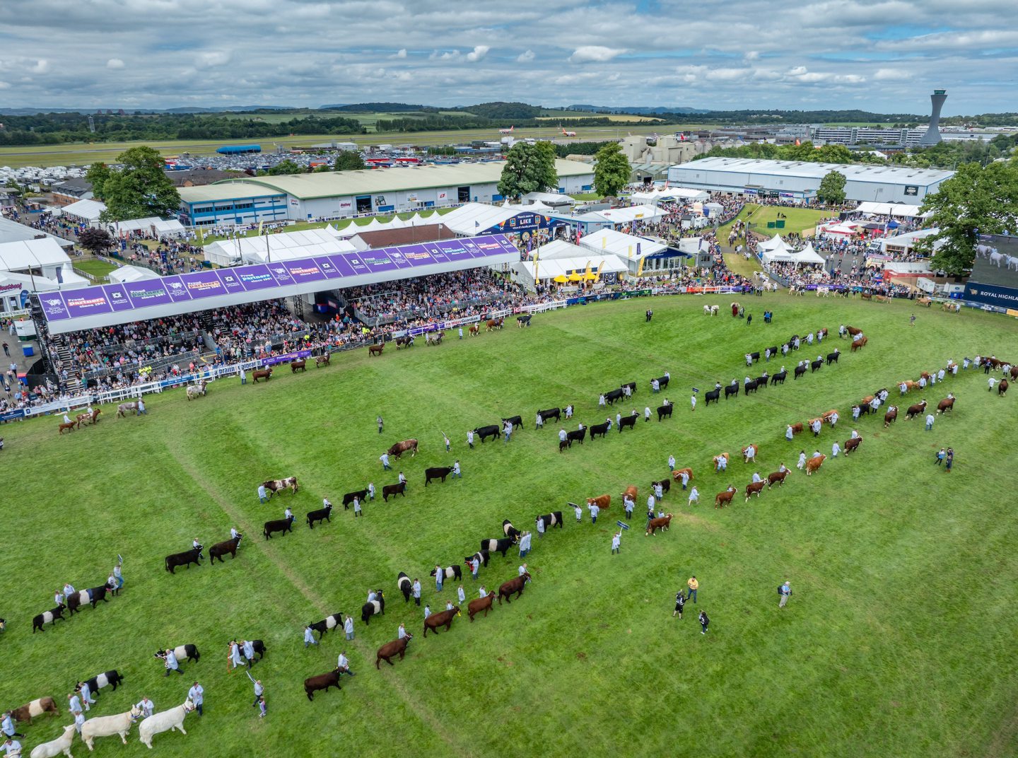 RHS 2024 welcomes more than 220,000 showgoers and 6,000 livestock ...