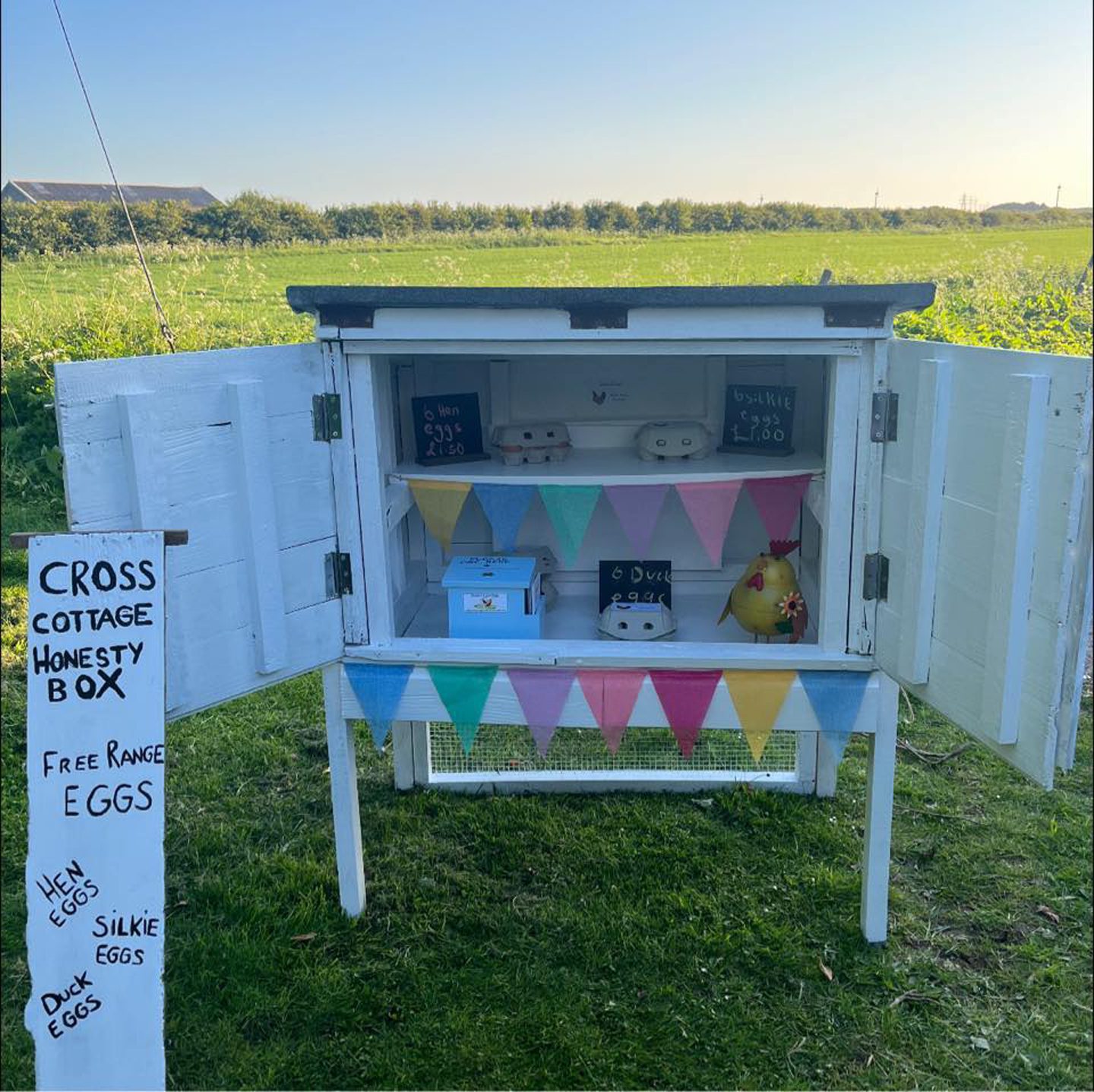 Lonmay sisters 'delighted' with honesty box success