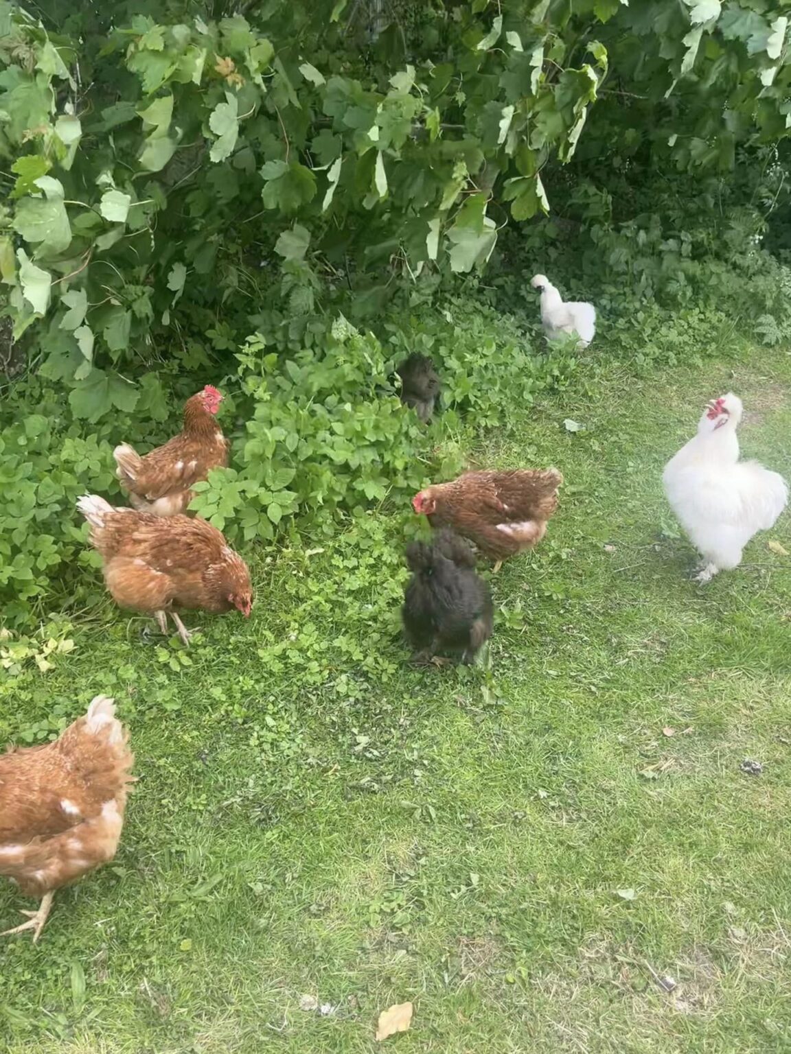 Lonmay sisters 'delighted' with honesty box success