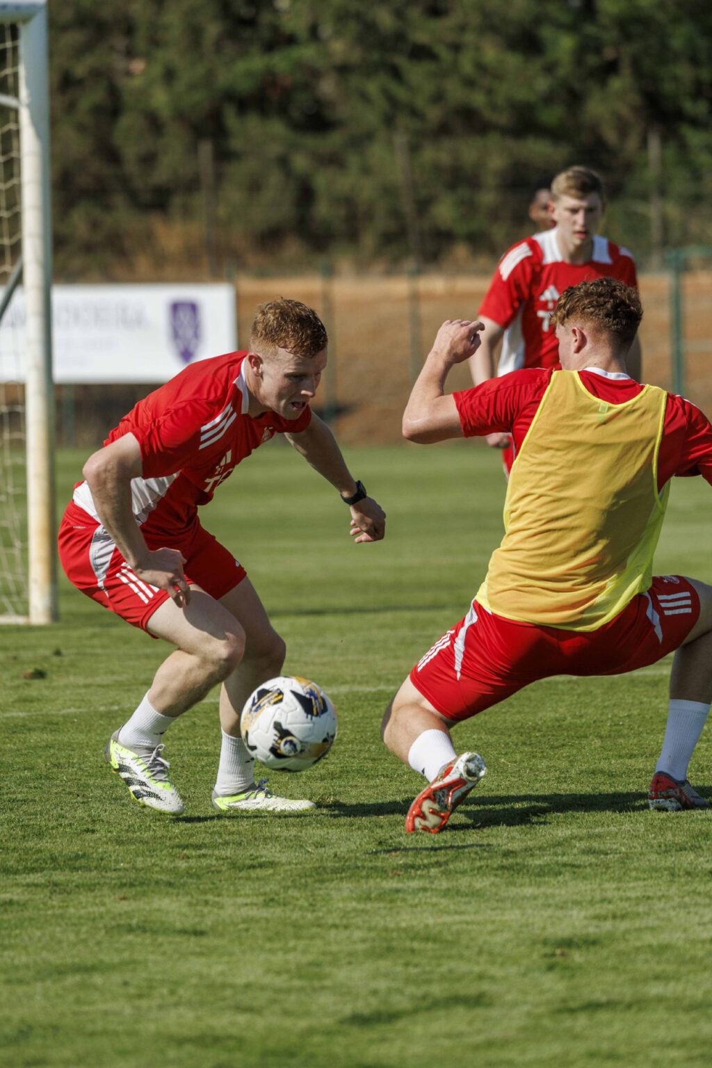 Aberdeen new signing Gavin Molloy outlines defensive blueprint
