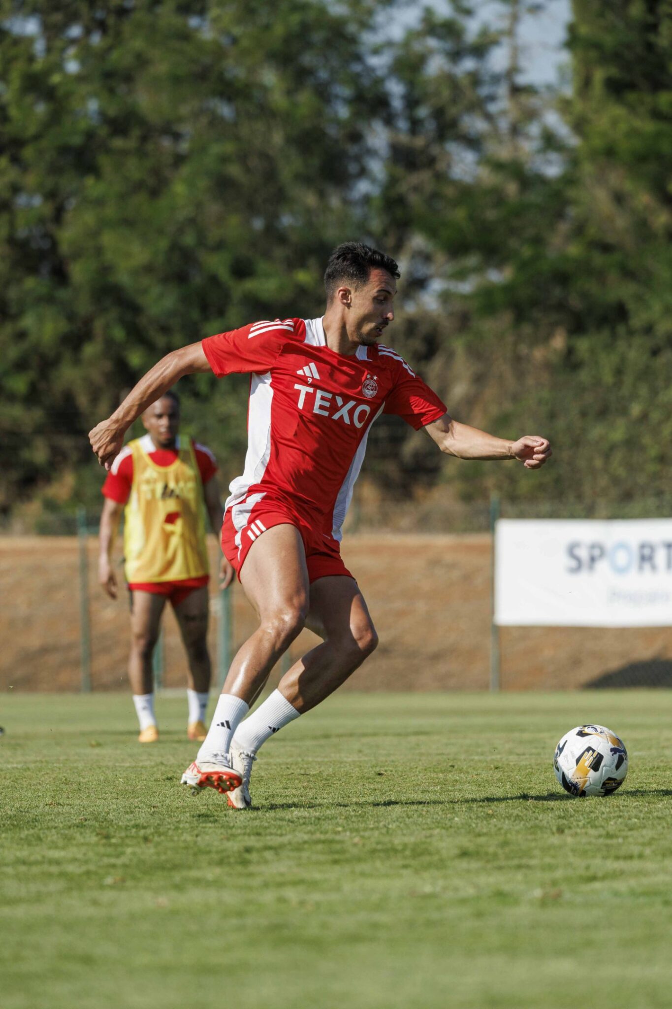 Aberdeen striker Bojan Miovski latest as Bologna spread net