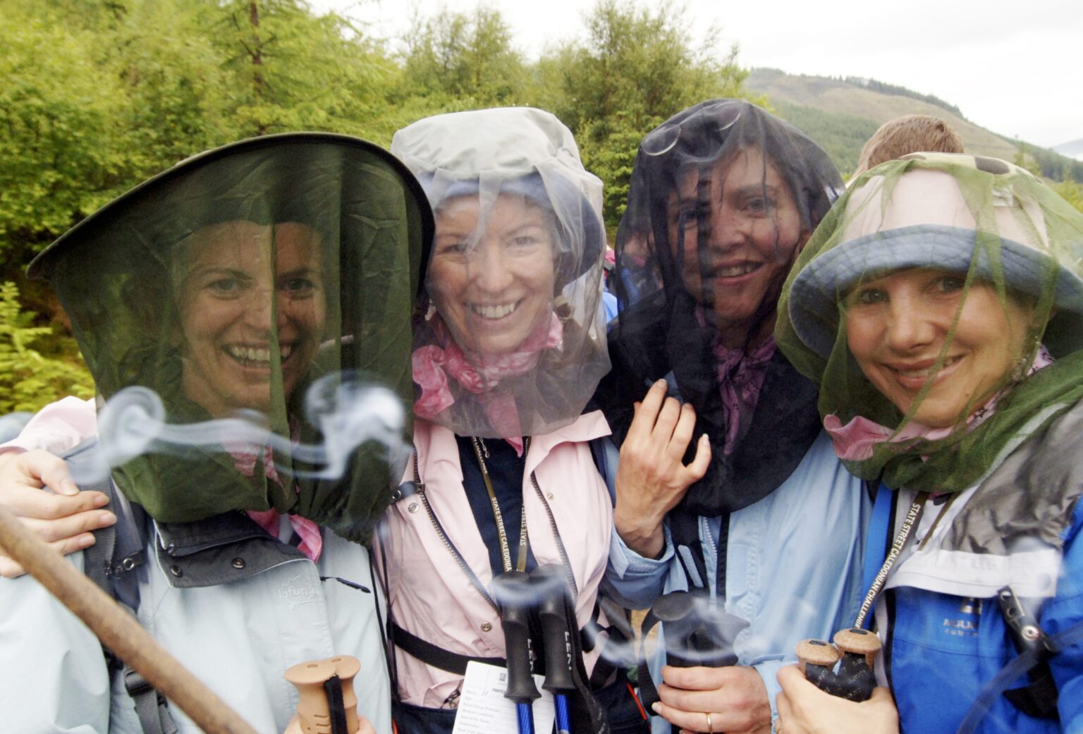 Midges: Forecast warns of level 5 swarms in Highlands and Islands