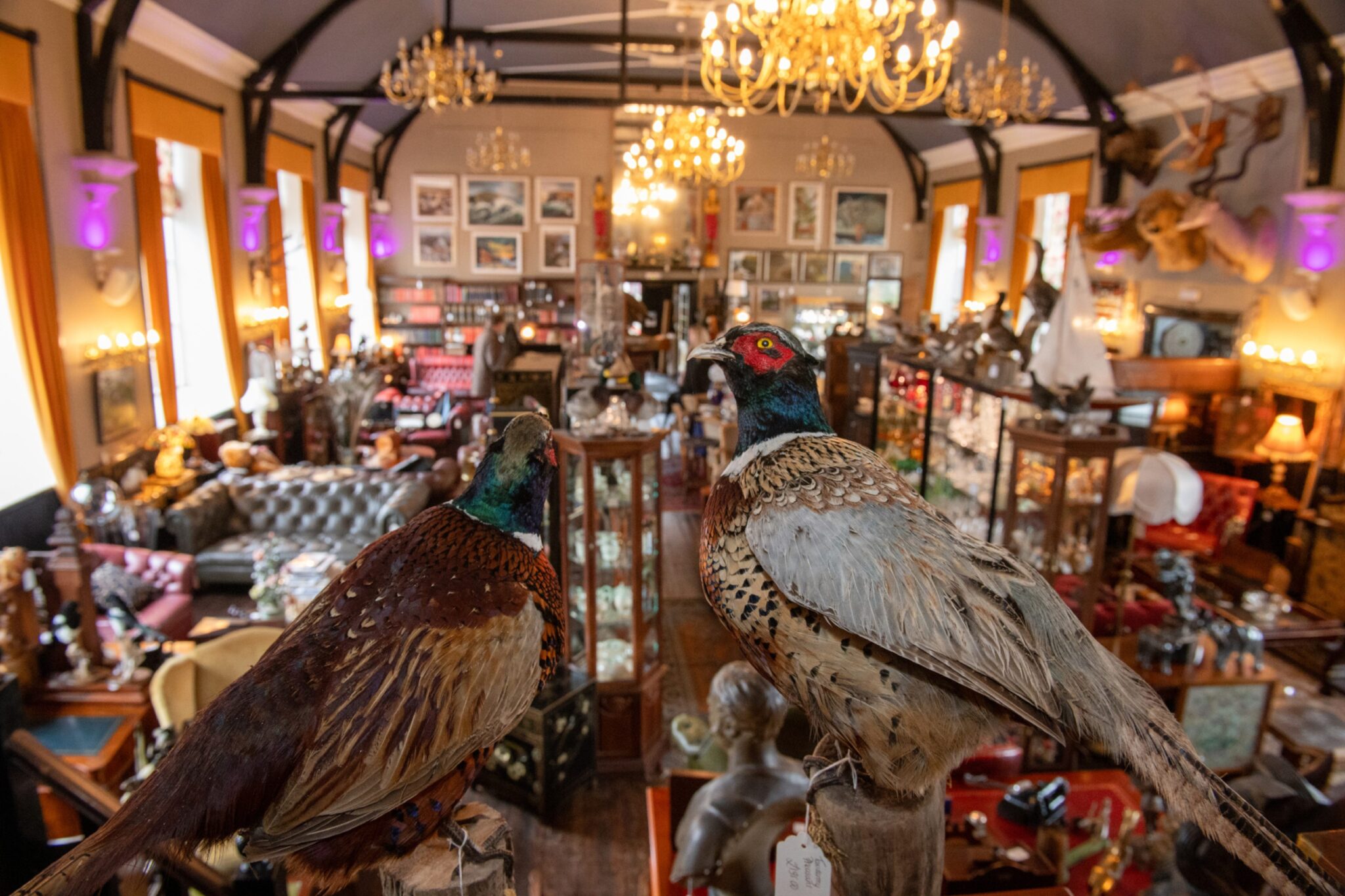 Come with us for a look inside family-run Strichen Antiques
