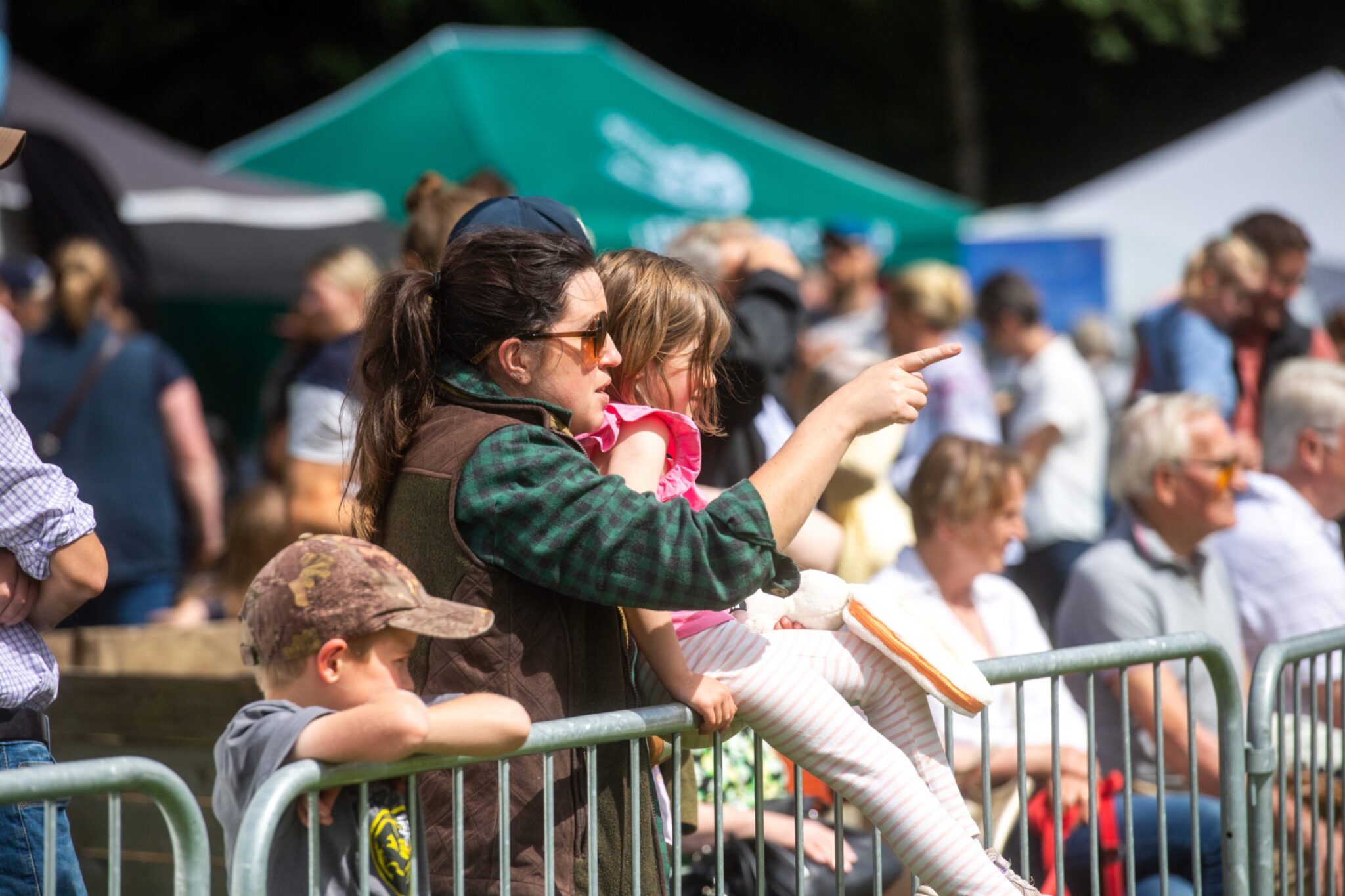 Gallery: 25 of the best pictures from Banchory Show