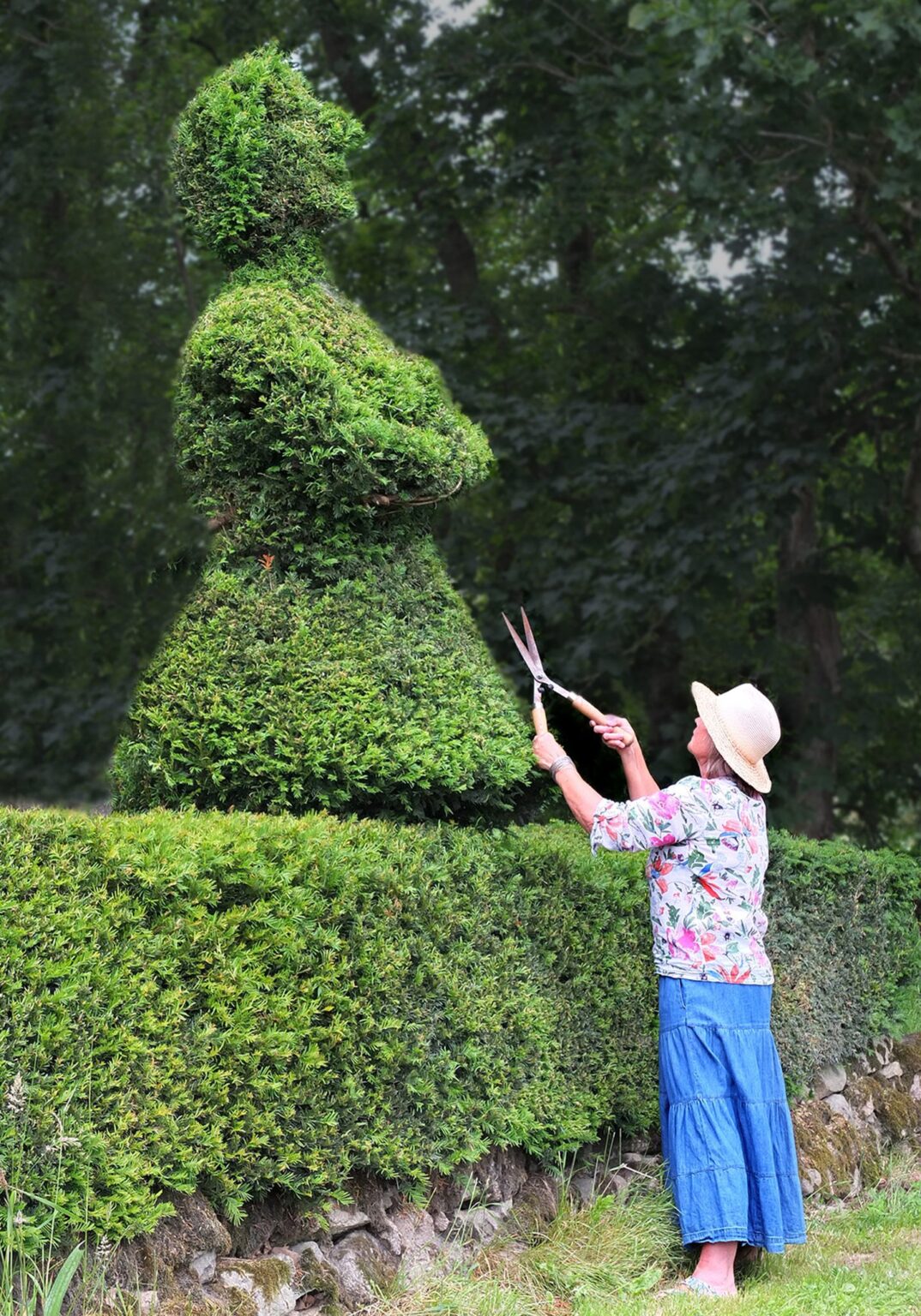 The man and the story behind incredible Monymusk hedge