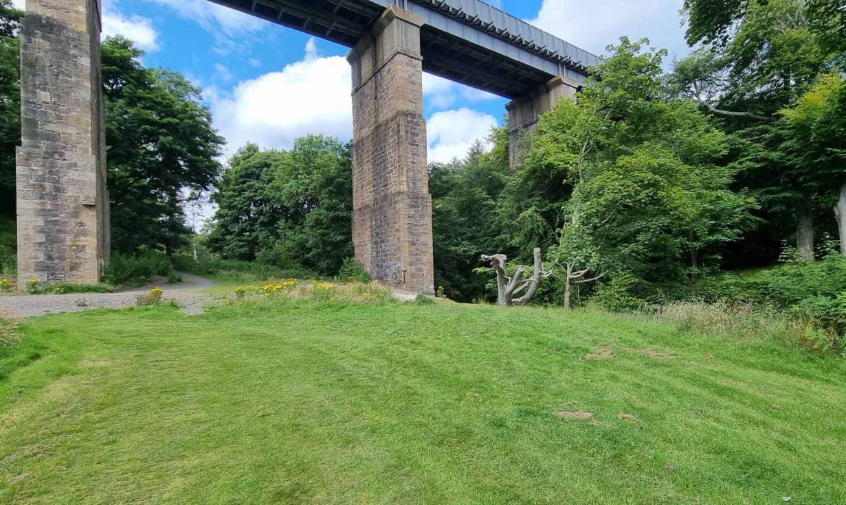 Person taken to hospital following incident at Stonehaven