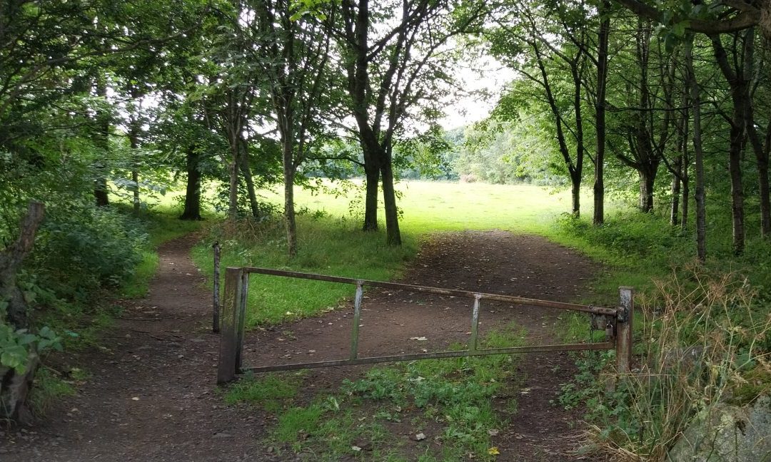 Is Danestone Country Park the forgotten park of Aberdeen?