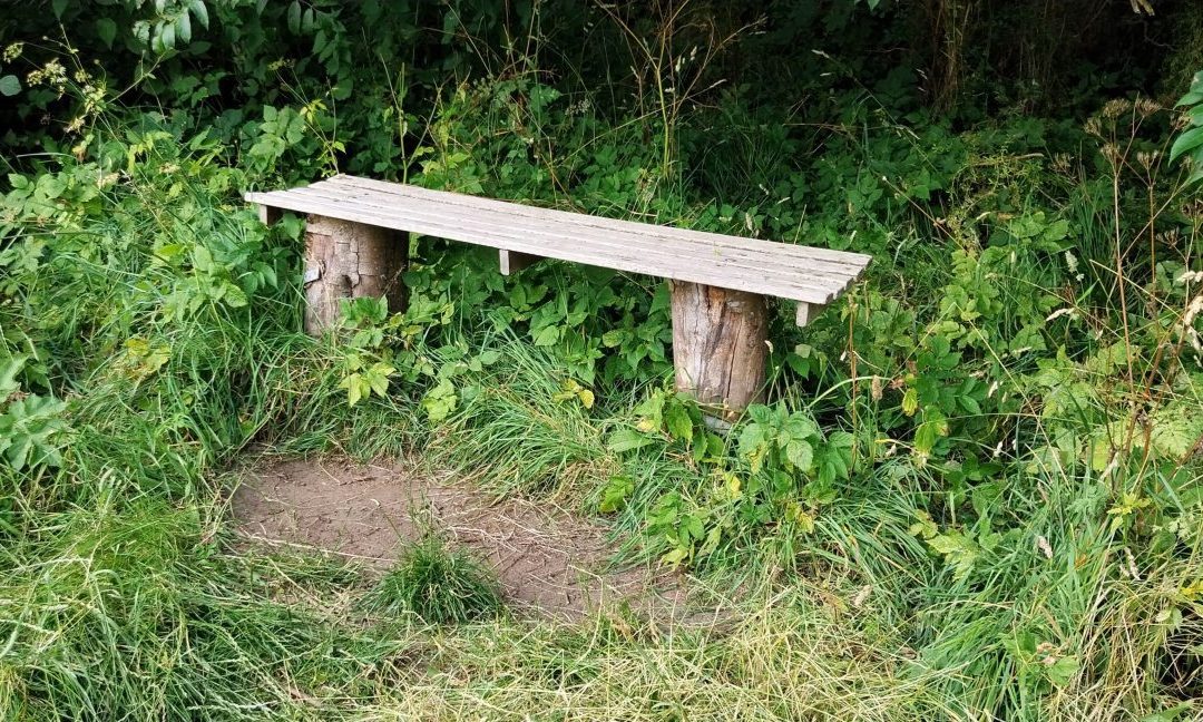 Is Danestone Country Park the forgotten park of Aberdeen?