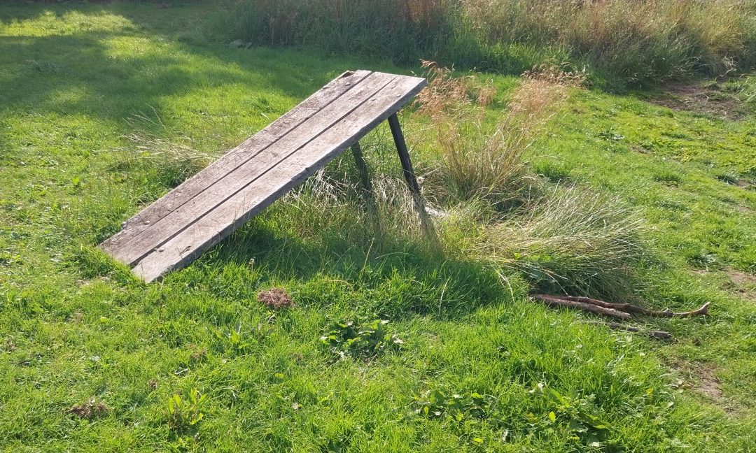 Is Danestone Country Park the forgotten park of Aberdeen?