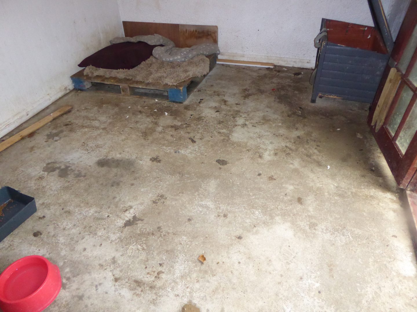 Man banned from keeping dogs after causing 'horrific' suffering