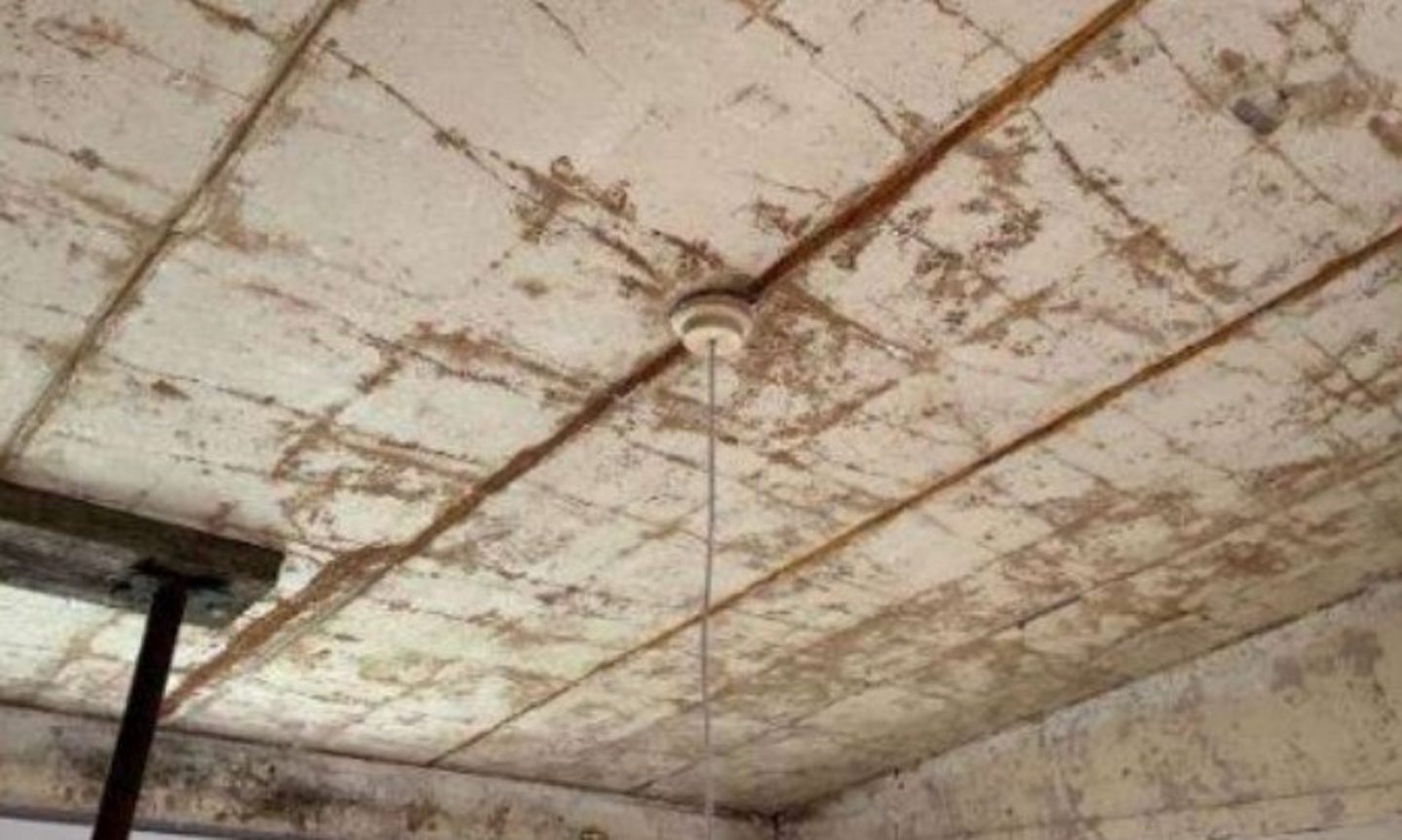 Councillors vote to demolish and rebuild Balnagask Raac homes