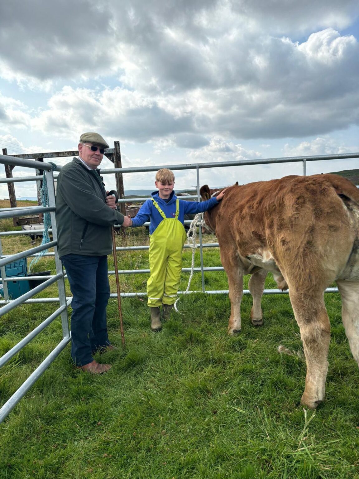 Horse is judges' choice for top prize at Lairg Crofters' Show
