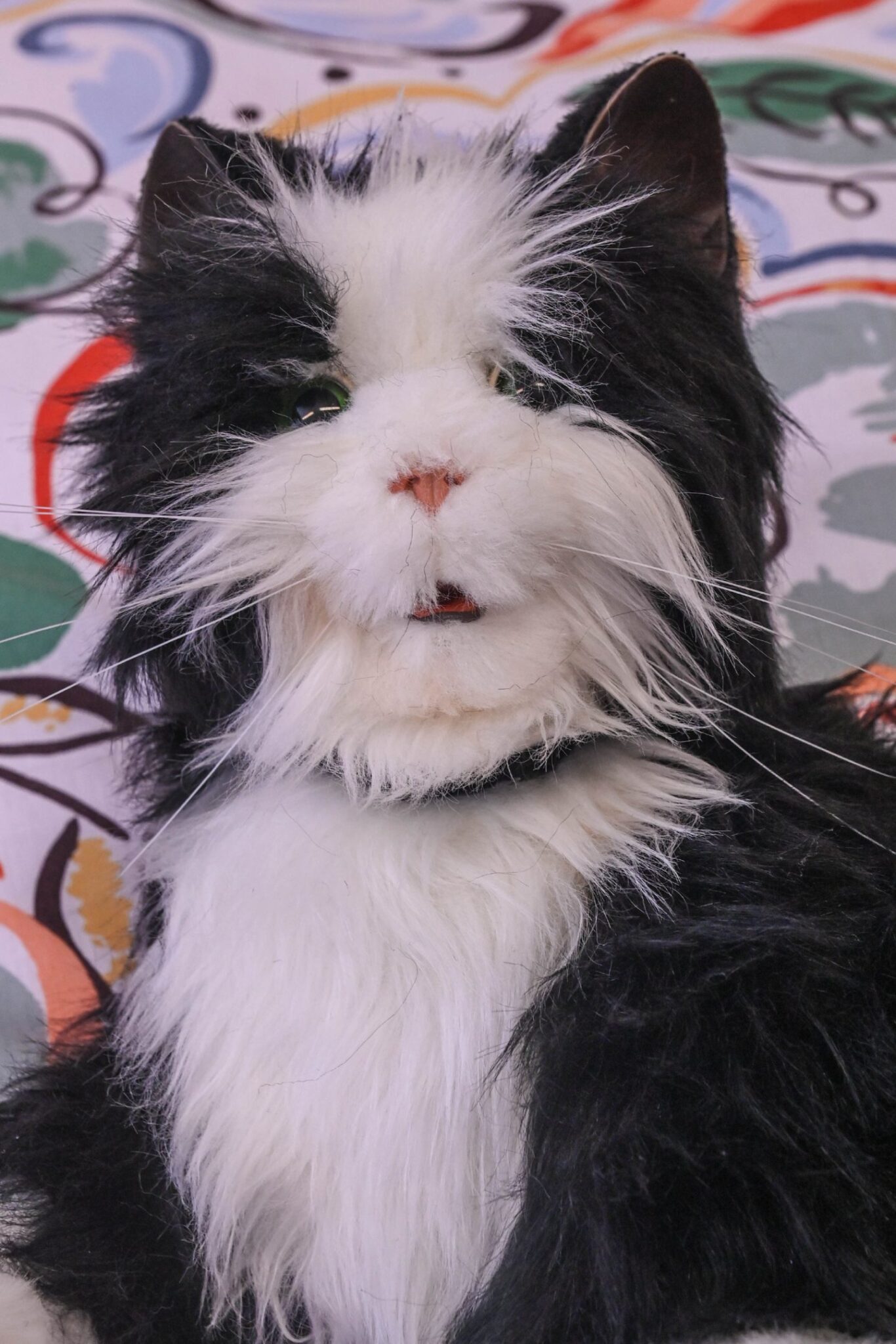Meet Jess, the robot cat that comforts Ellon's dementia patients