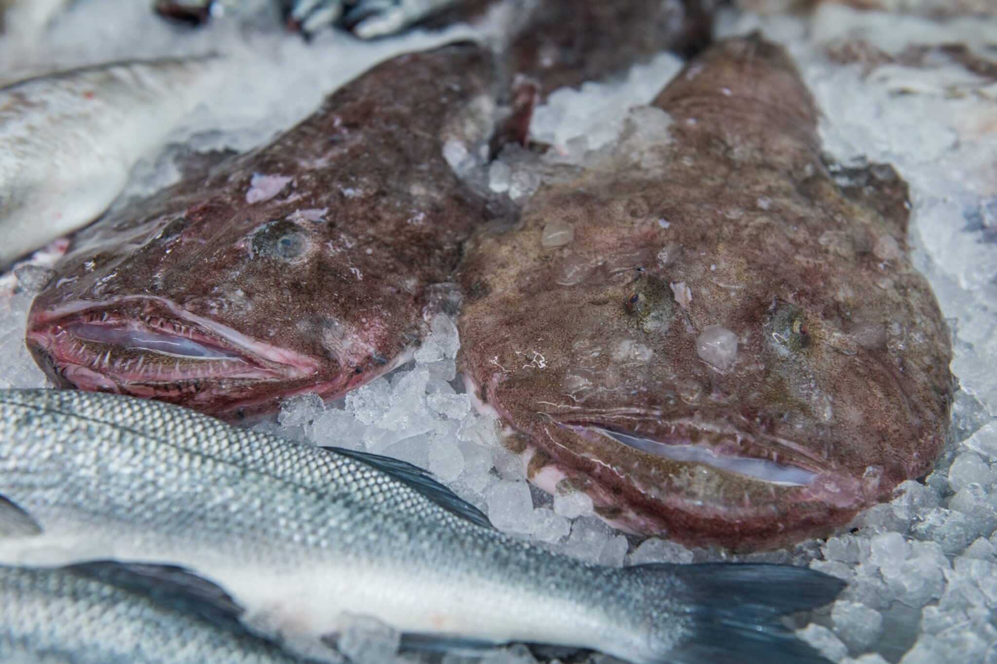 Buckie fish firm Eat Mair Fish still reeling in customers 50 years in