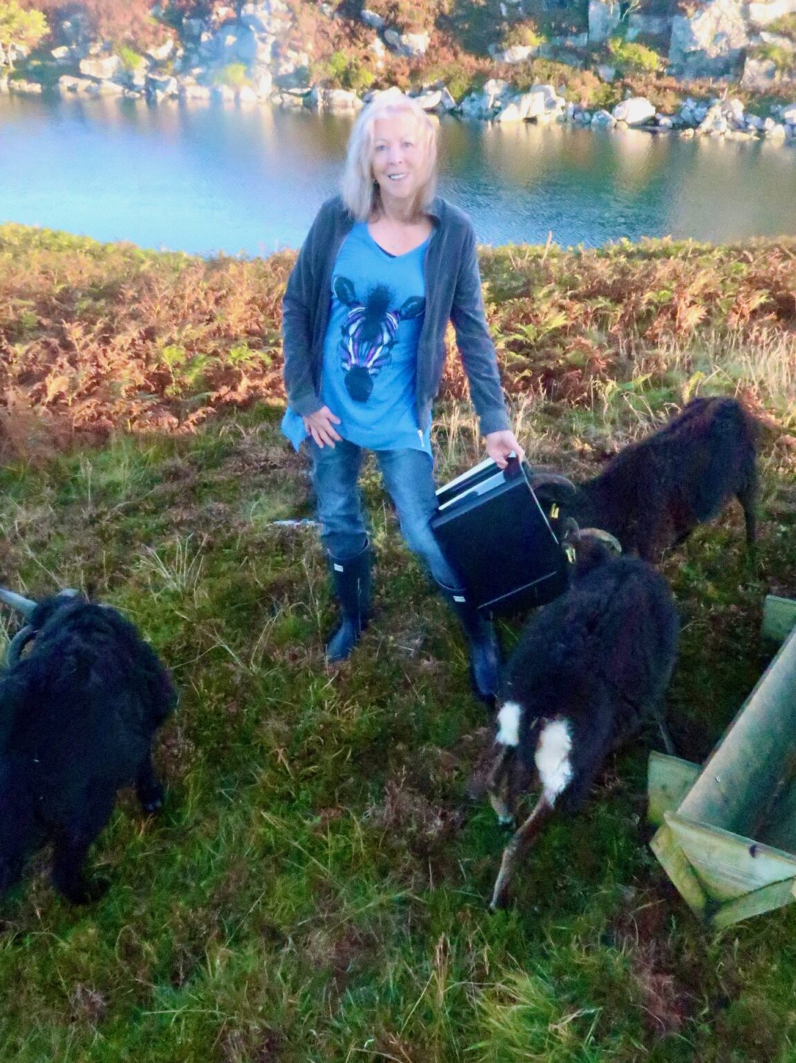 Lynn Michell's ideal weekend in the Hebrides: Crofting and creativity