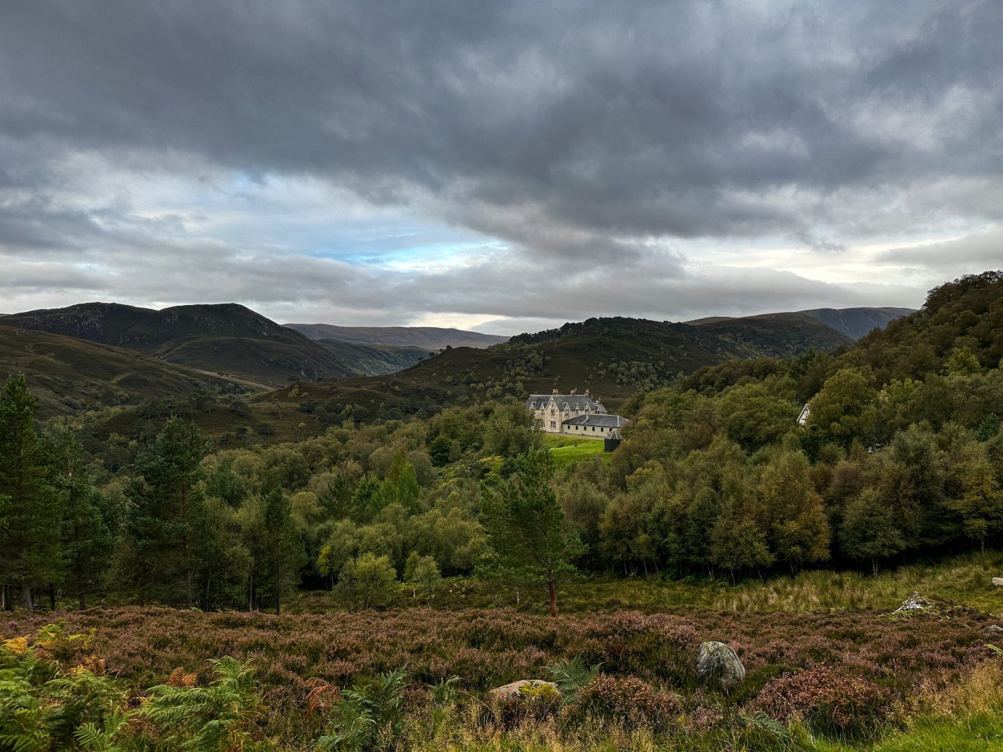 Former Highland shooting estate is transforming into wildlife haven