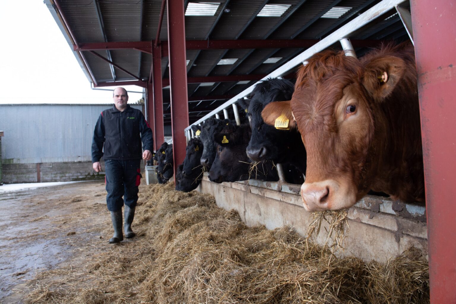 Strichen farmer: 'We used 1,650 litres of diesel just to clear snow'