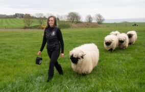 Meet the dad and daughter duo behind Aberdeenshire's Farm Stop
