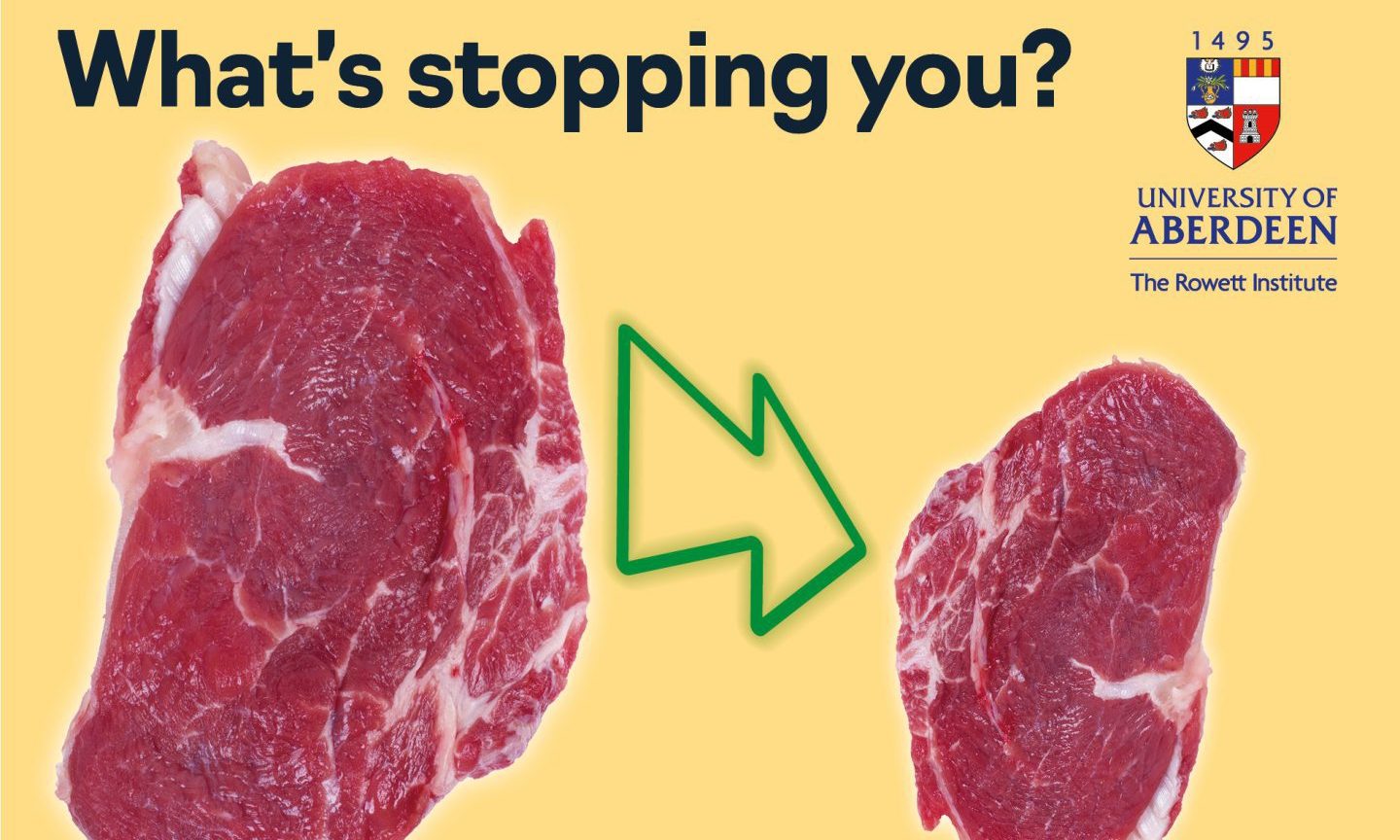 Eat less meat and save the world: Aberdeen scientists want you!