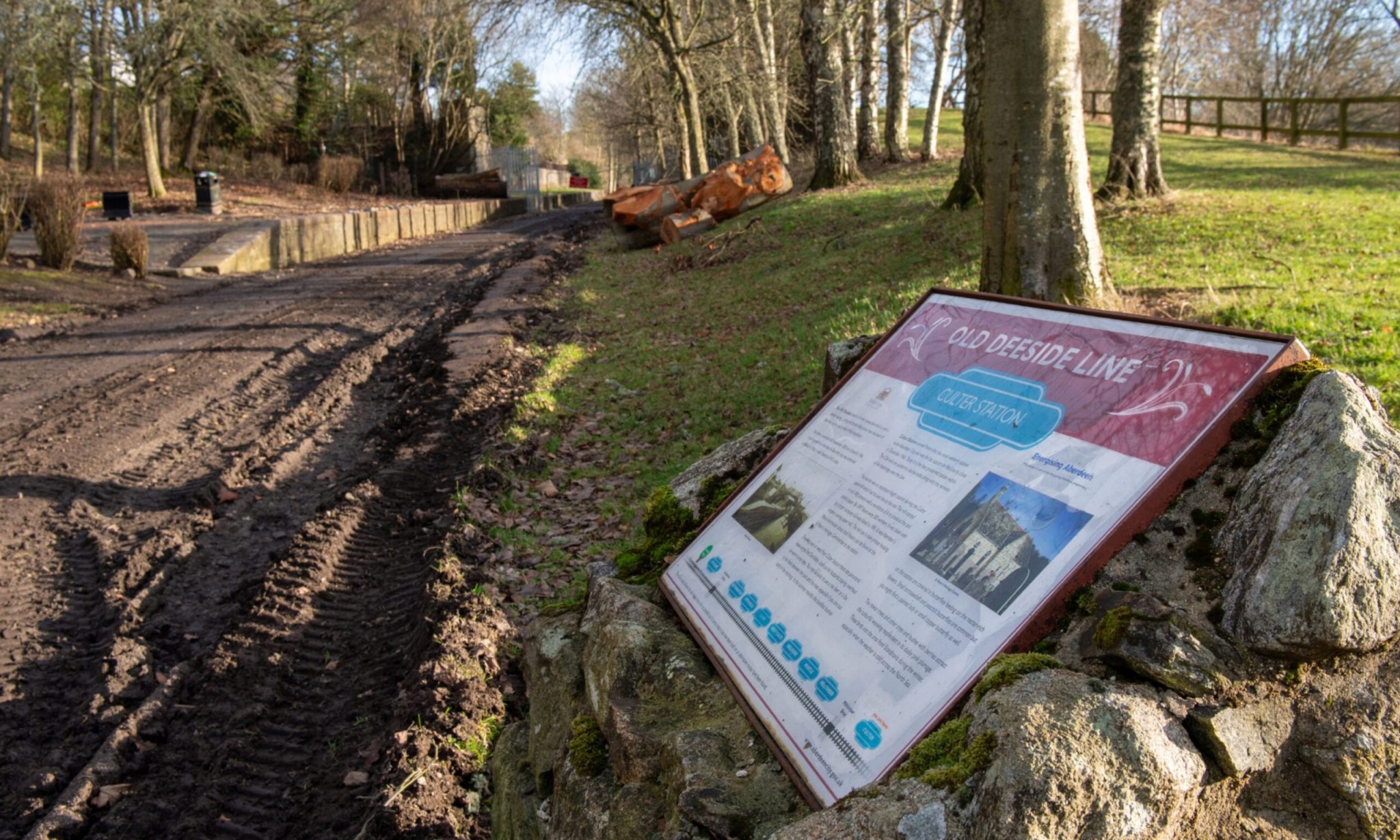 Peterculter trees destruction revealed in new Deeside Way images