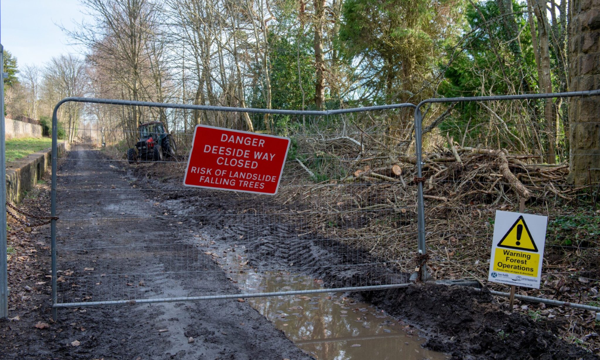 Peterculter trees destruction revealed in new Deeside Way images