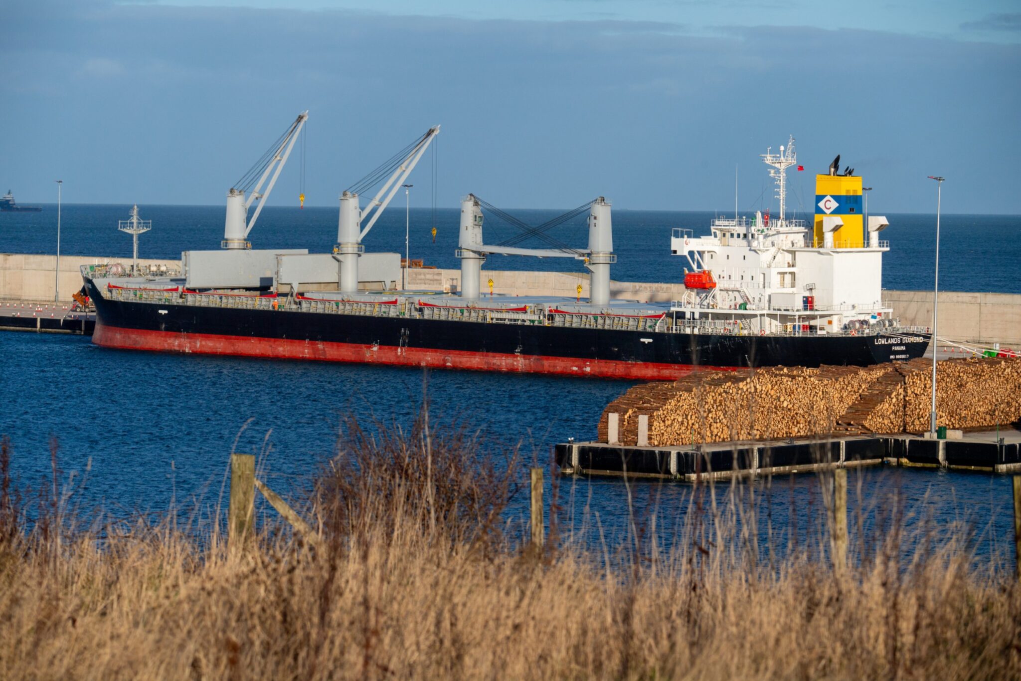 Burnt cargo seen removed from ship after South Harbour fire