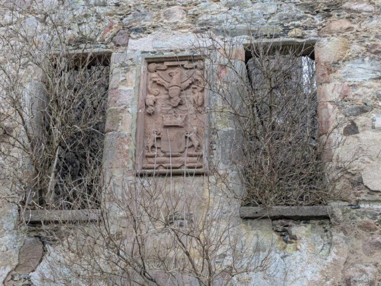 What did I find at derelict Bishop's Palace on Fetternear Estate?