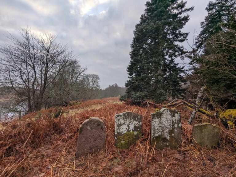 What did I find at derelict Bishop's Palace on Fetternear Estate?