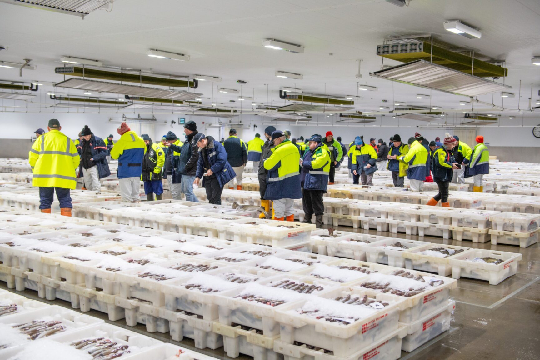 The worlds of Peterhead fish market and Domino's pizza collide