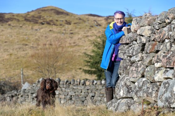 The feral goats of Rogart are the stuff of legend and loved by locals