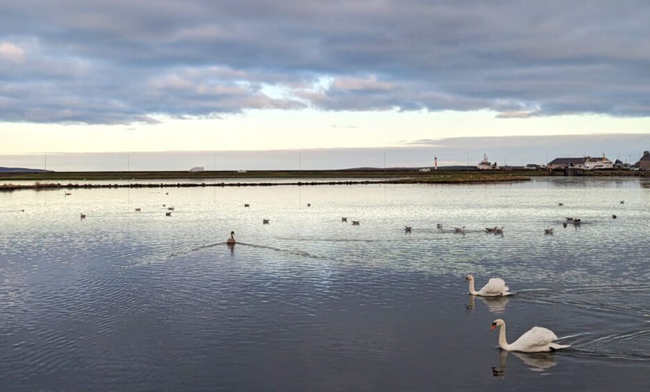 How this year’s Kirkwall bonfire and fireworks display was cancelled