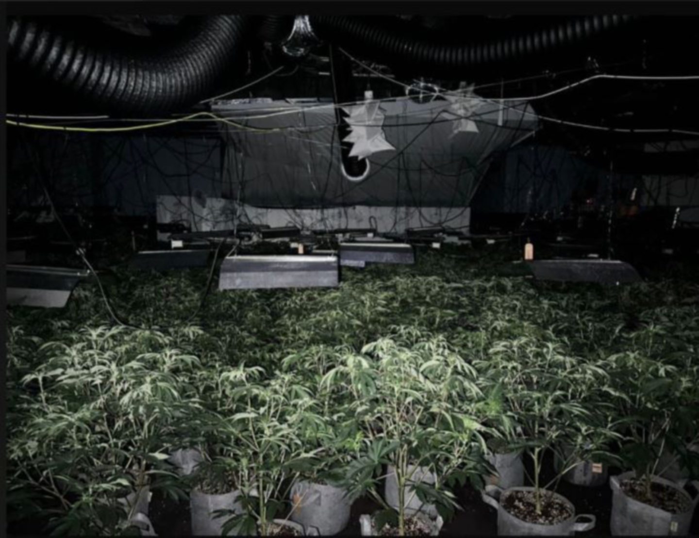 Duo behind £1.5million Peterhead cannabis farm locked up