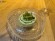 Review: How is TimeSpirit tasting menu at The Macallan, Aberlour?