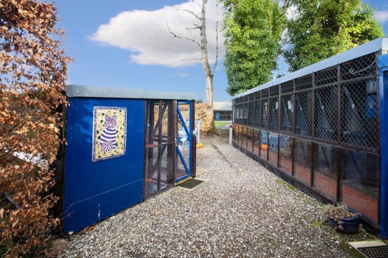 Owners of Inverness cattery sell ‘lifestyle business’ after 22 years