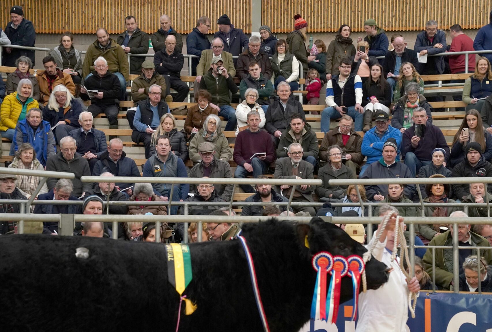 Huntly mart operator United Auctions now owned by employees