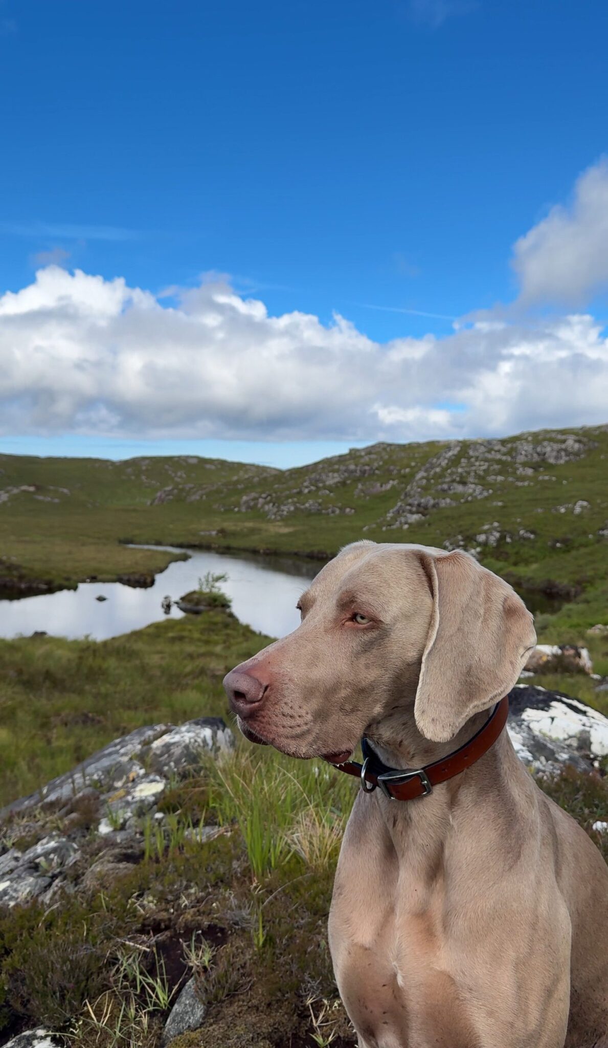 Emily in Scotland shares her favourite spots around Inverness