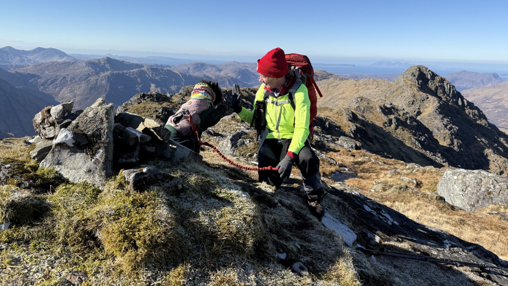Meet Betty, the Munro bagging dog set to enter the Full House club ...