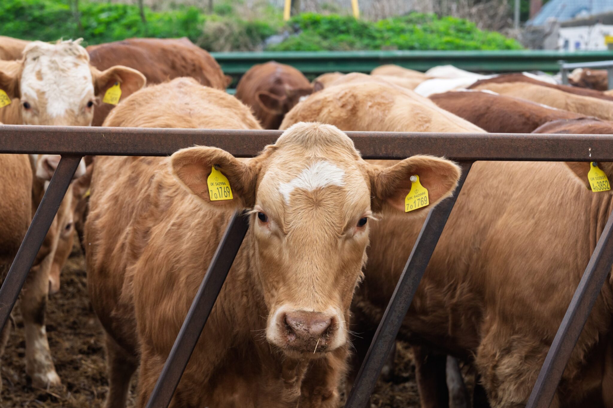 Pictures reveal aftermath of Fraserburgh farm fire