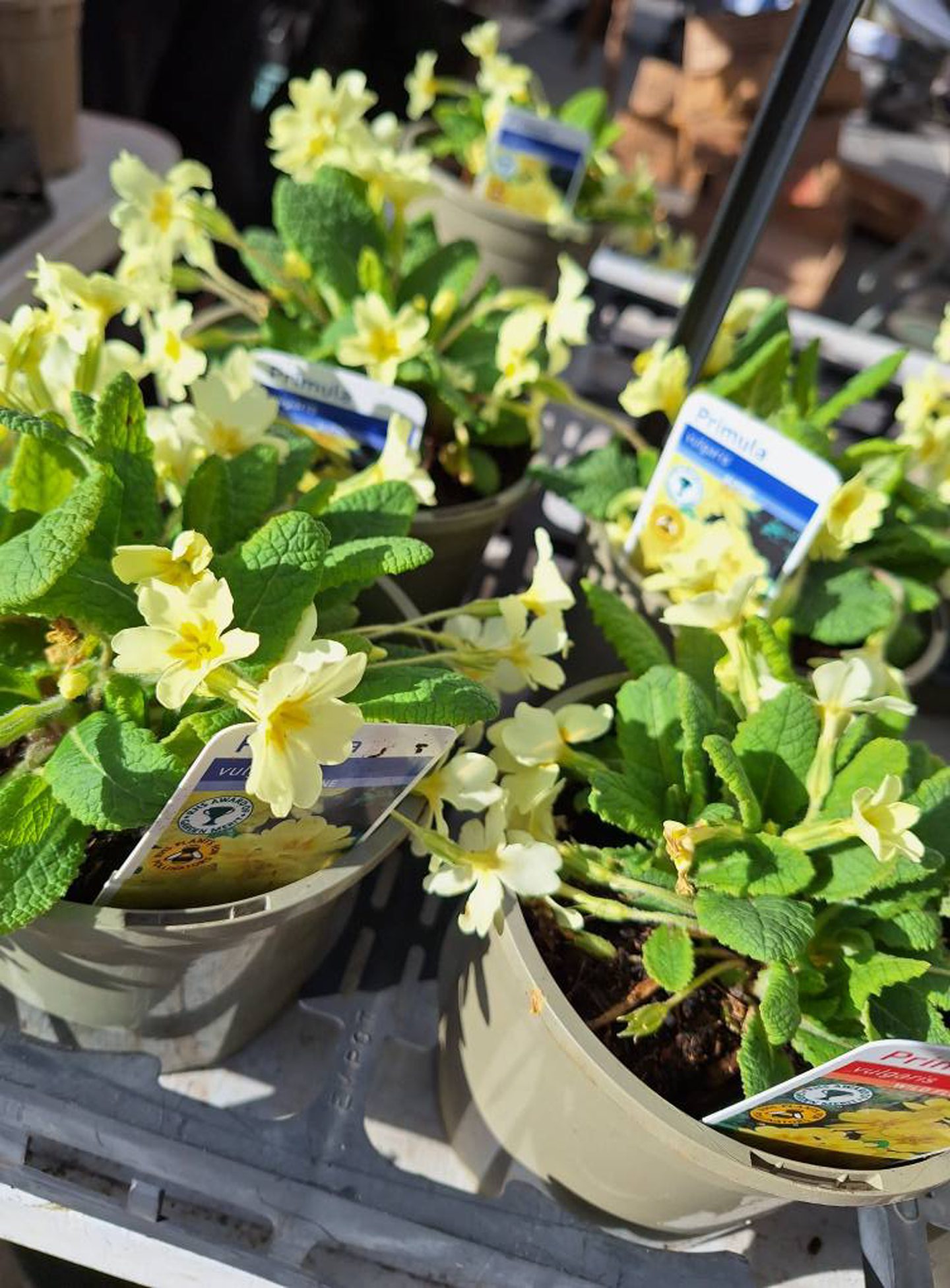 19 farmers' markets to visit in Aberdeenshire and the Highlands