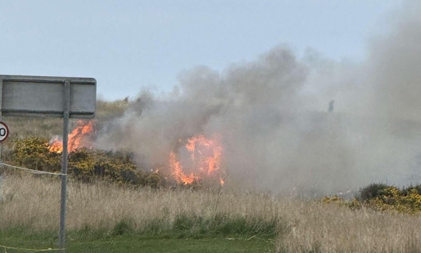 Aberdeen, Aberdeenshire & Highlands news | The Press & Journal