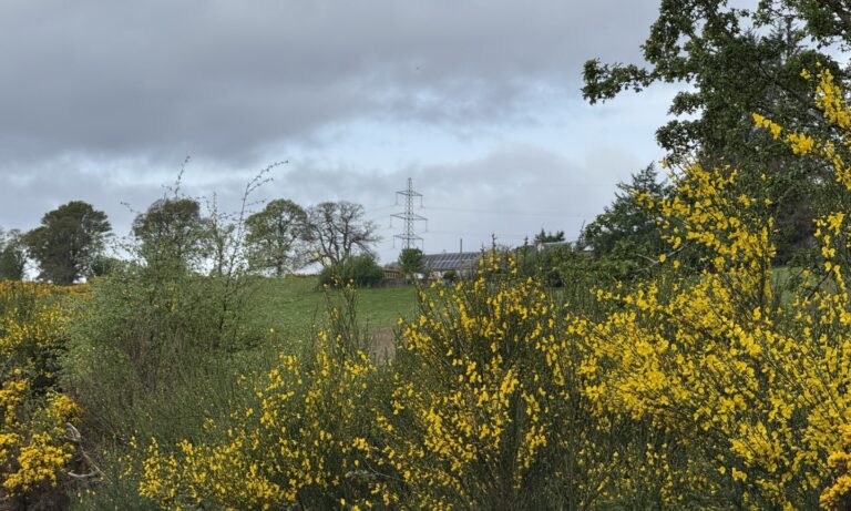 Highland Renewable Map: 'Projects to take bonnie out of Scotland'