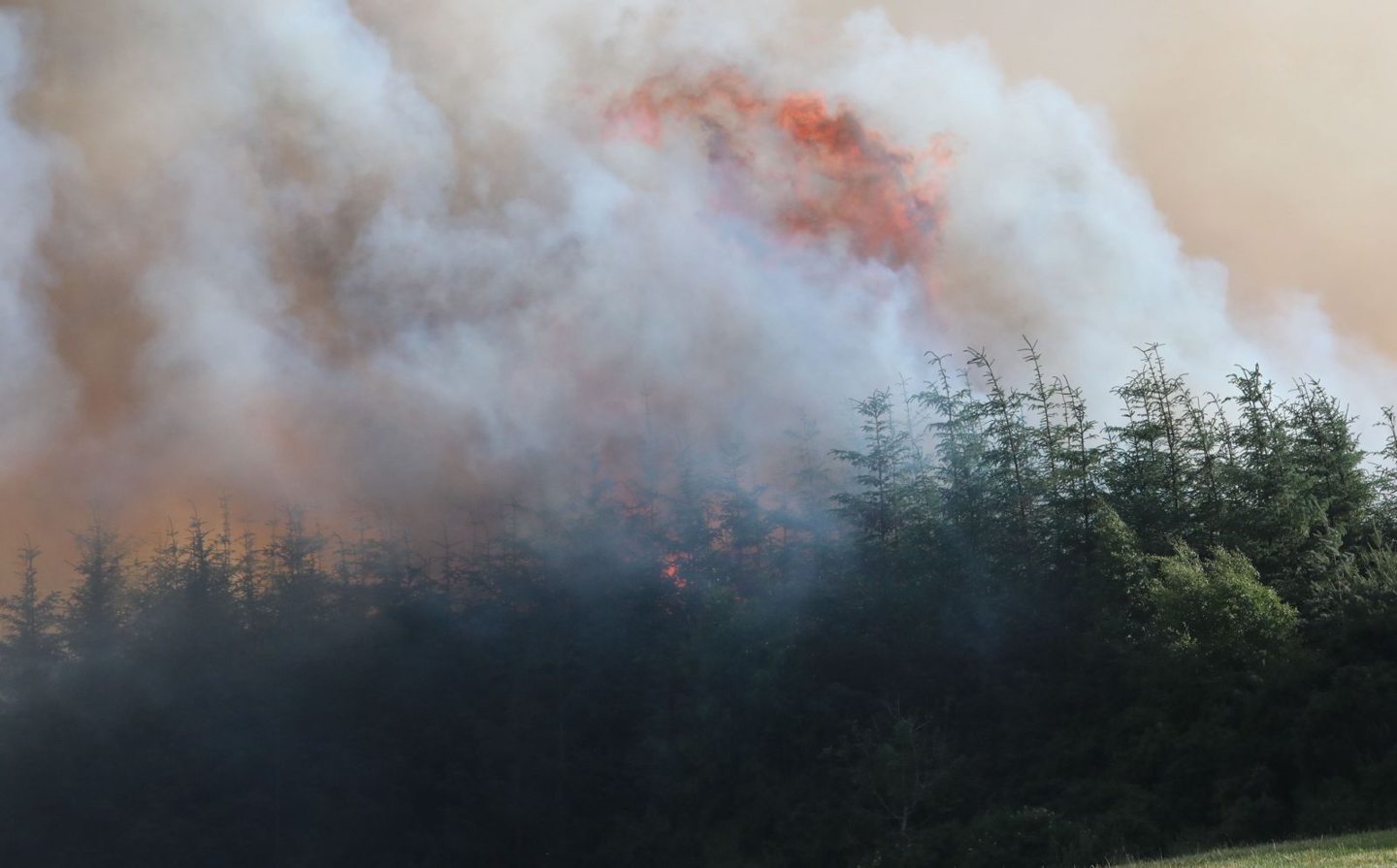 Firefighters battle wildfire in woodland near Nairn