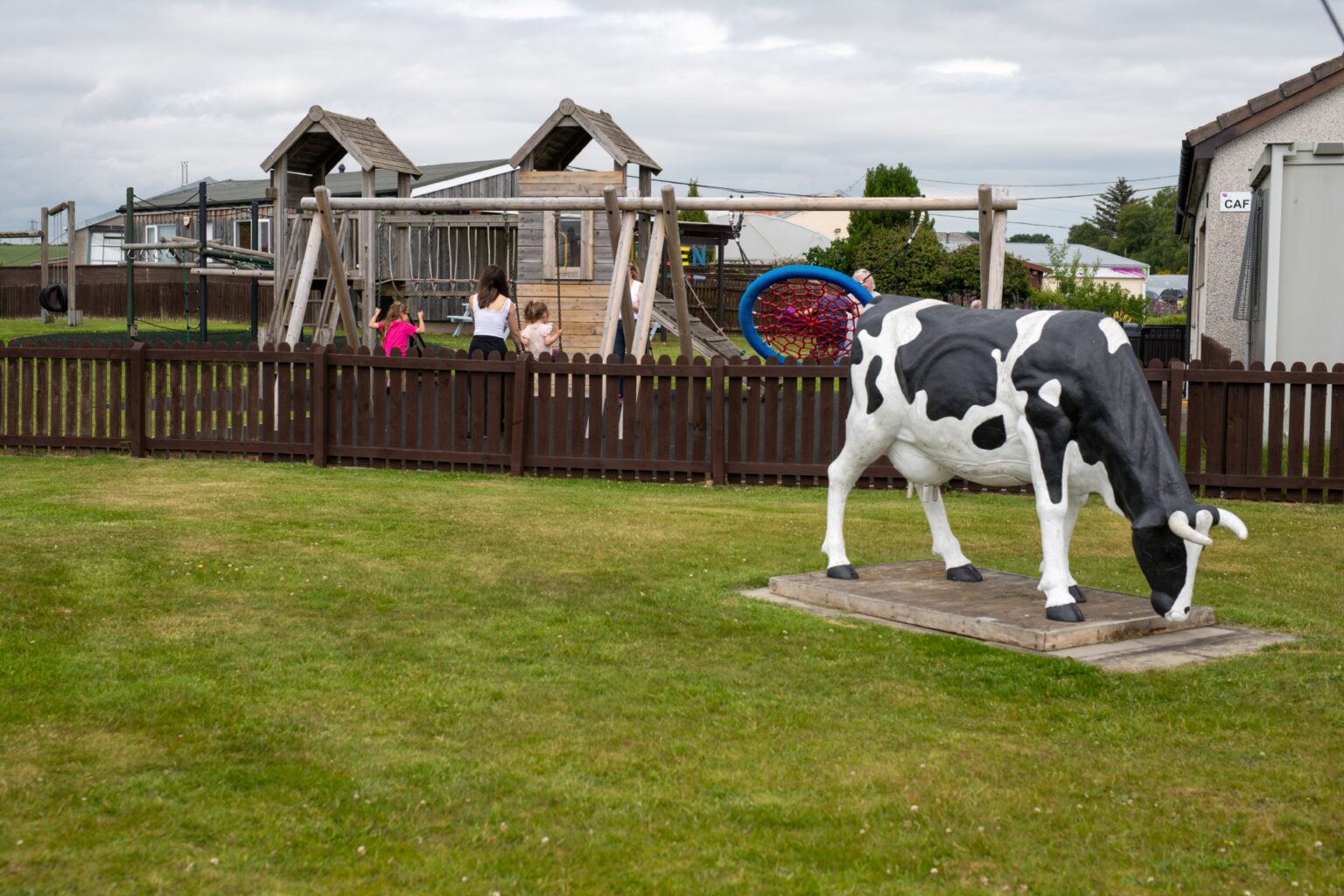 We go strawberry picking at Peterculter's Easter Anguston farm