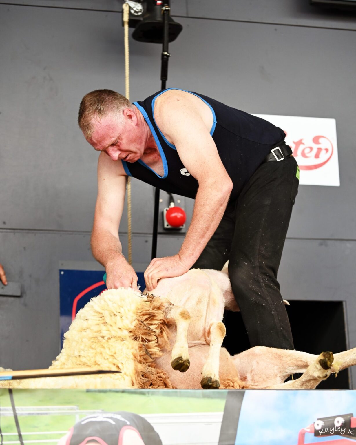 Gavin Mutch, of Huntly, among shearing competition winners
