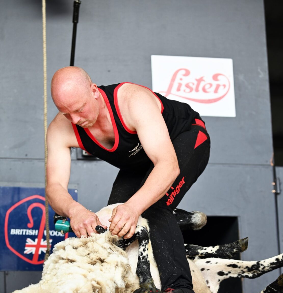Gavin Mutch, of Huntly, among shearing competition winners