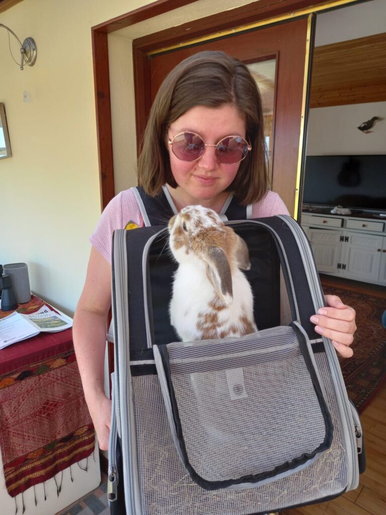 Loganair clarifies pets policy after Orkney woman's sick rabbit wasn't ...