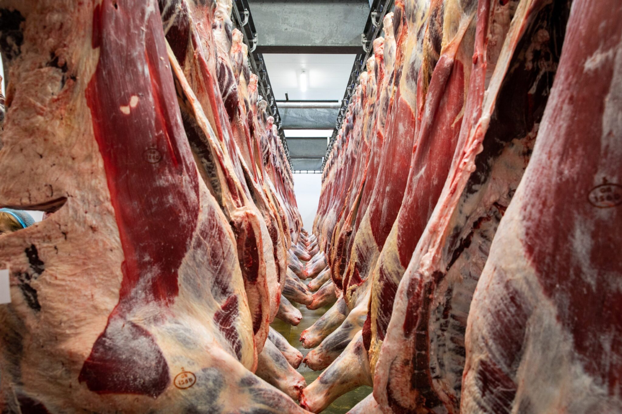 Scotbeef shuts historic Inverurie abattoir