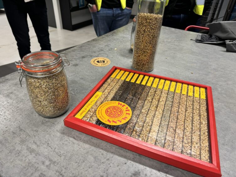 I try the BrewDog brewery tour in Ellon - is it worth £20?